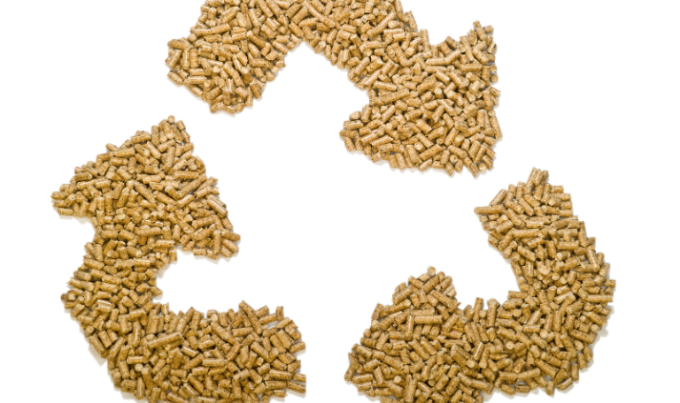 Wood Recycling – Recycle the present, save the future.